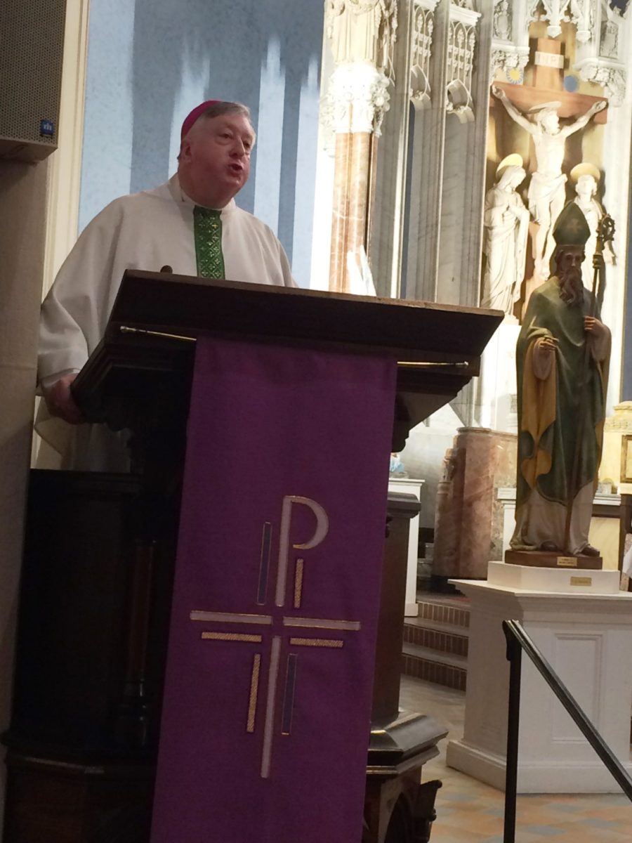 SPRINGFIELD – The feast of St. Patrick celebrations in Springfield ...