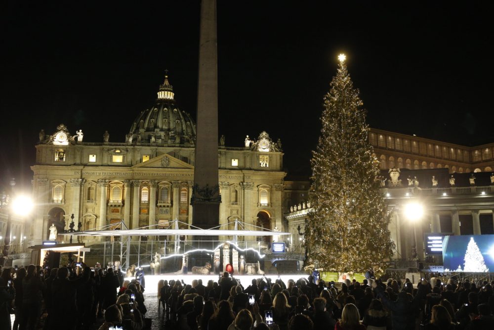 The Nativity scene and Christmas tree decorate St. Peter’s Square after ...
